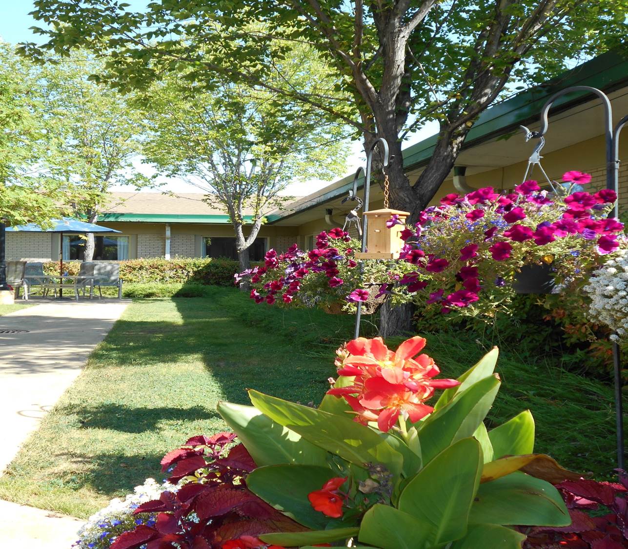 SCC Outdoor Courtyard – Intercare Alberta